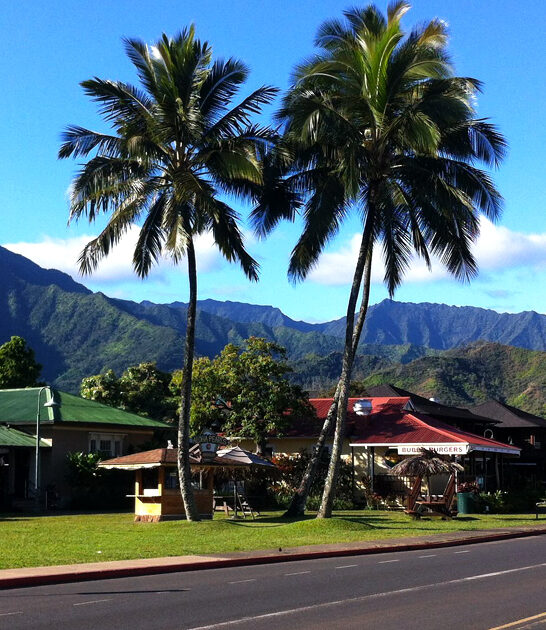 gorgeous towns hawaii postcard ftr