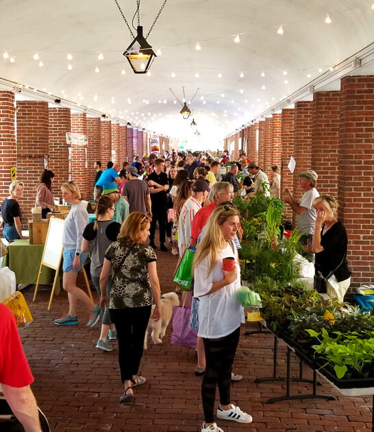 great farmer markets pennsylvania ftr