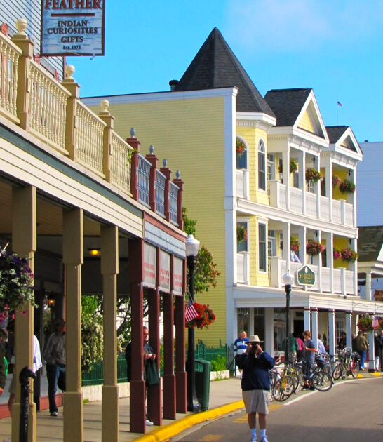 hallmark gorgeous town michigan ftr