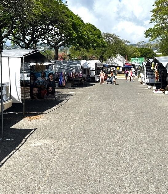 hawaii crazy flea deals ftr