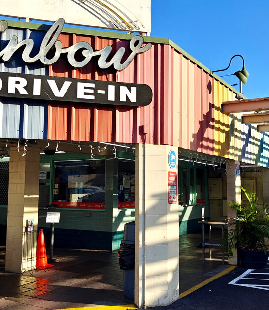 hawaii french fries tasty ftr