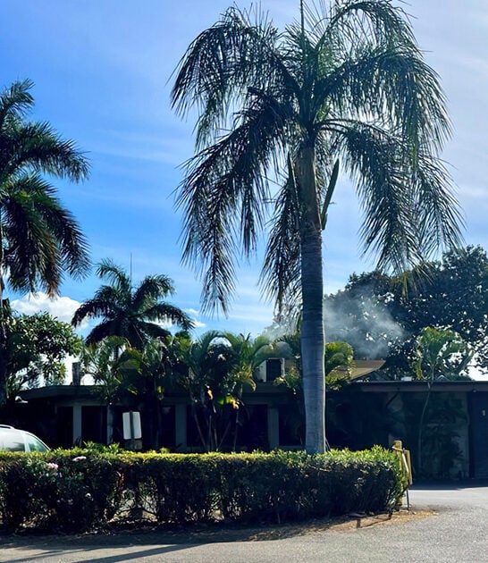 hawaii restaurant bbq ribs ftr