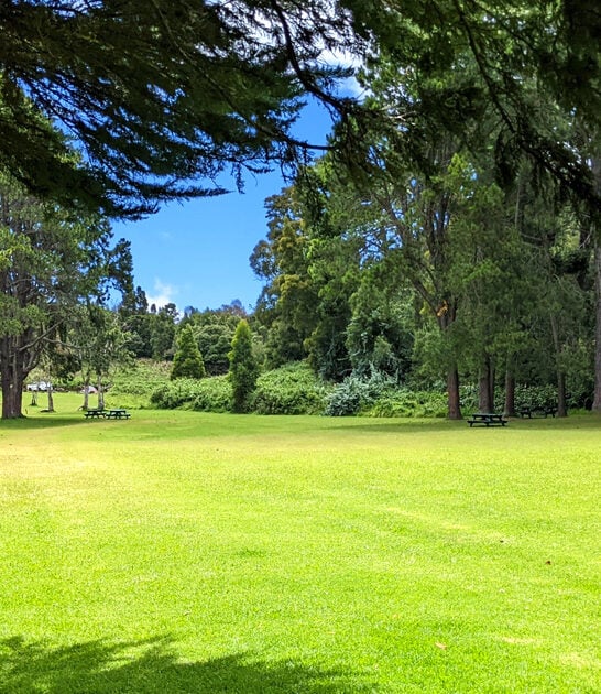 hawaii state park dreamlike ftr