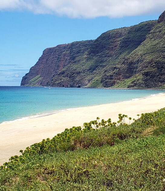 hawaii state park nature ftr