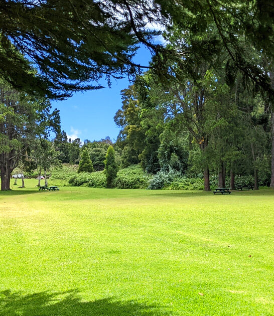 hawaii state park picturesque ftr