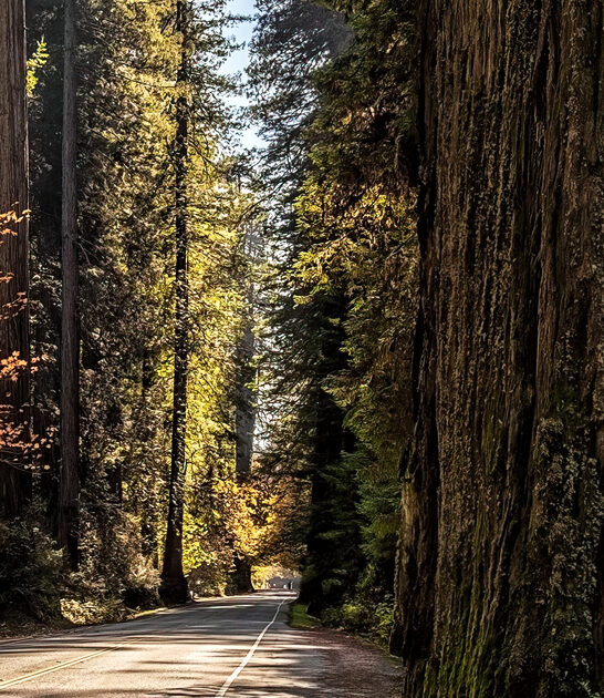 hidden gem drive california ftr