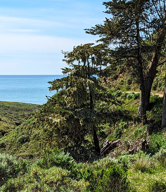 hidden park california wonderful FTR