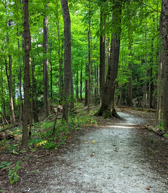 hidden park pennsylvania nature ftr