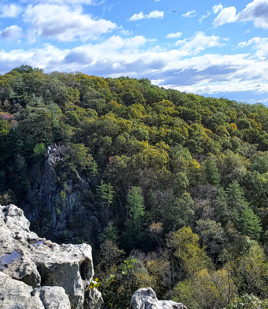 hidden scenic park maryland ftr