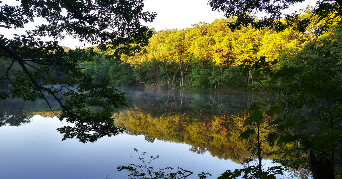 Wisconsin Natural Features This Stunning State Park In Wisconsin Hides One Of America's Most ...