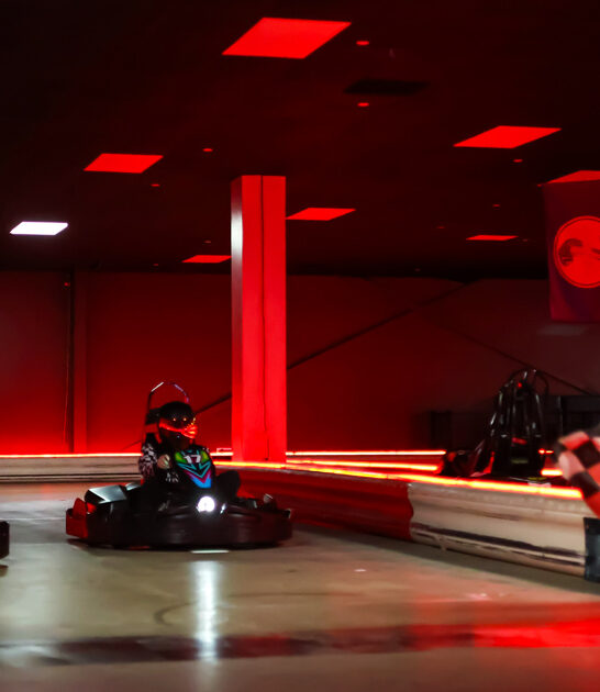 high speed kart michigan ftr