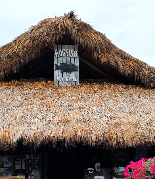 hogfish chips joint florida ftr