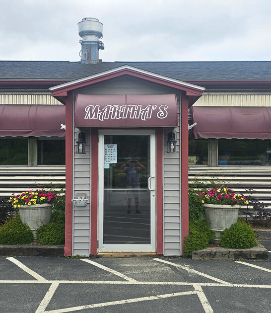 homey diner vermont fries ftr