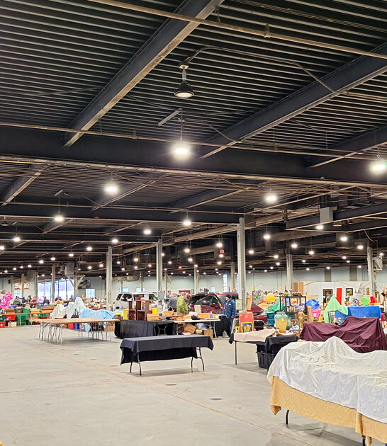 huge kentucky market flea ftr