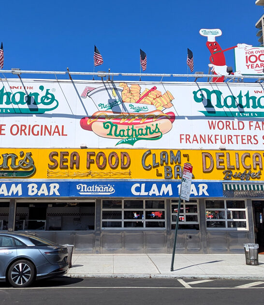 humble dog new york ftr