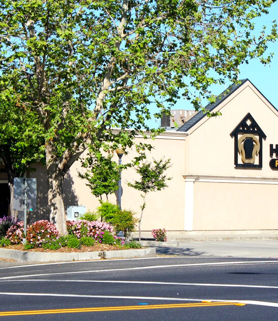 iconic restaurants ribeye california ftr