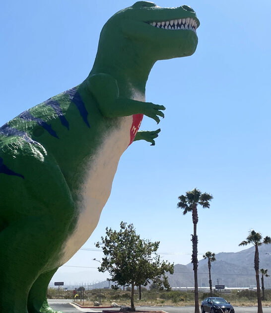 iconic roadside california kid ftr