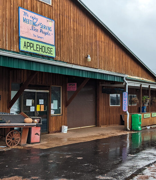 iconic tennessee apple fritters ftr