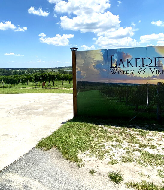 iconic wonderful winery florida ftr