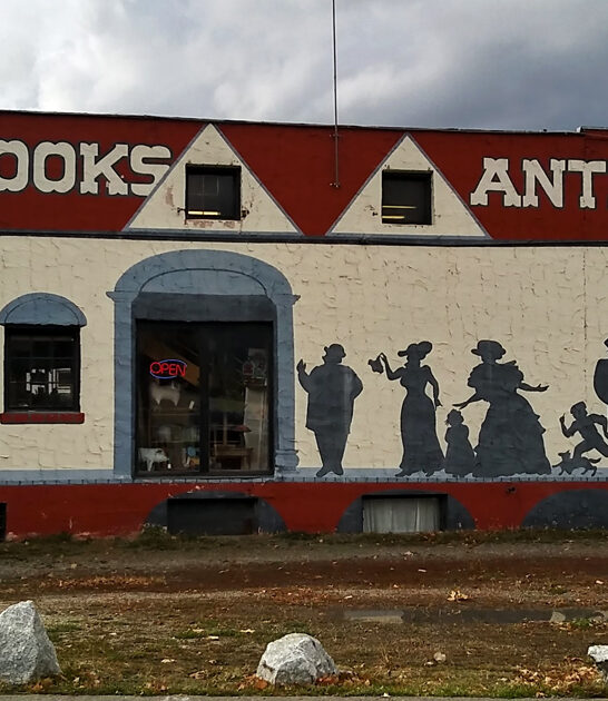 idaho antique store collectibles ftr