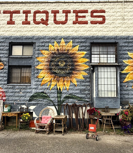 idaho antique store finds ftr