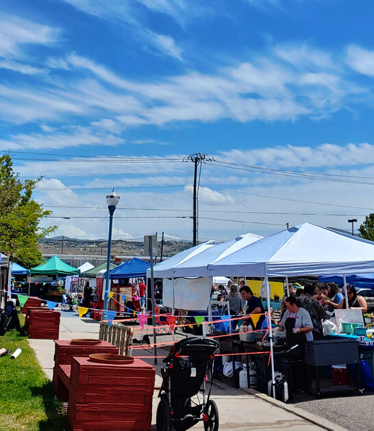 idaho flea market finds ftr