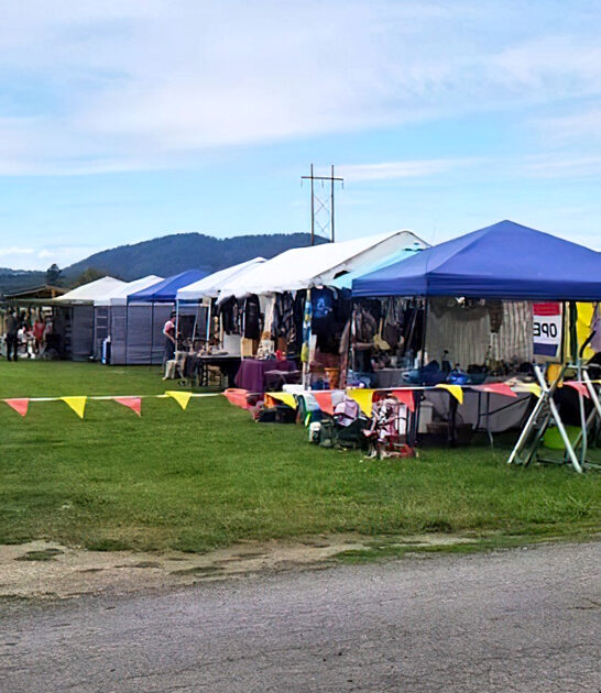 idaho flea market trip ftr