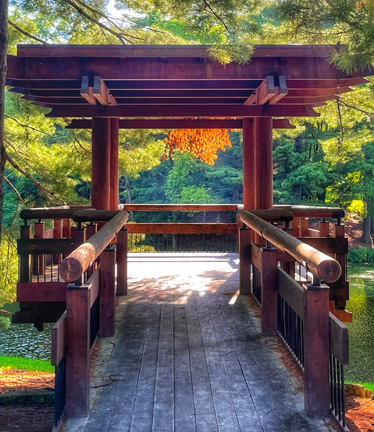 illinois botanical garden plants ftr