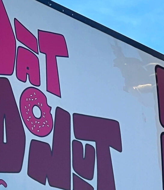 illinois donut shop ftr