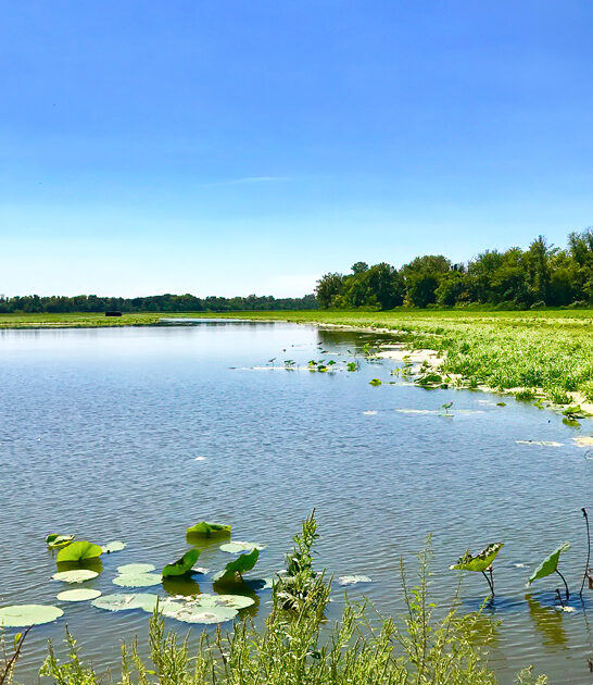 illinois park nature amazing ftr