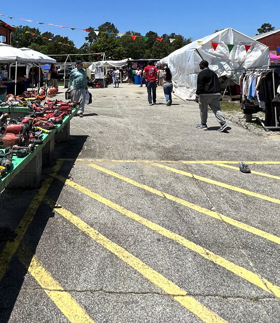 incredible deals flea georgia ftr