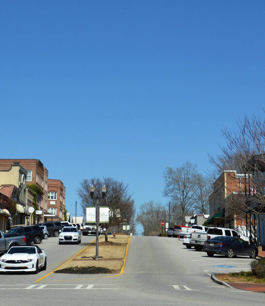 incredibly georgia day trips ftr