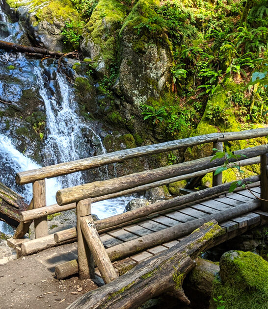 jawdropping nature park washington ftr