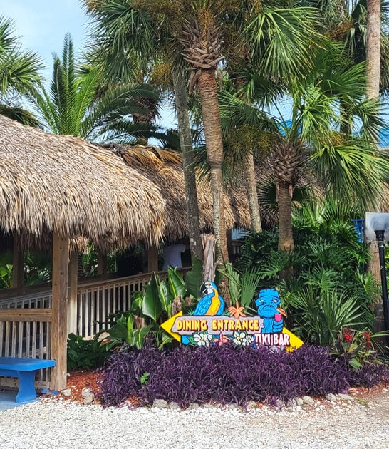 joint florida grouper sandwich FTR