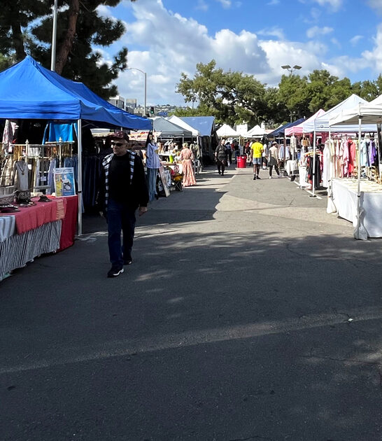 journey california swap meet ftr