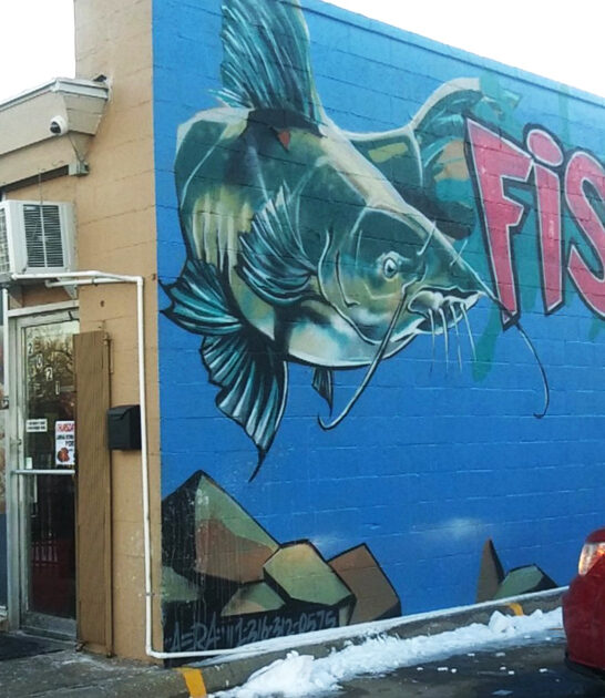 kansas restaurant catfish dinner ftr