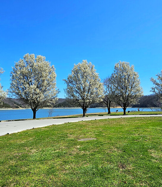 kentucky scenic state parks ftr