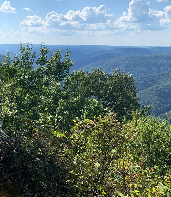 kentucky serene park dreamy ftr