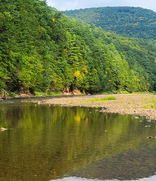 laid back park pennsylvania ftr
