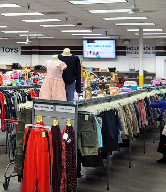 large cool shop california ftr