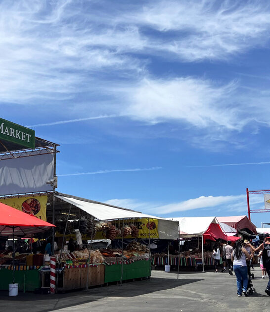 largest bargain cart california ftr