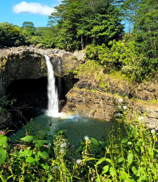 lazy weekend park hawaii ftr