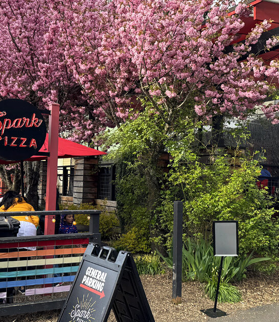 legendary washington pizza restaurants ftr