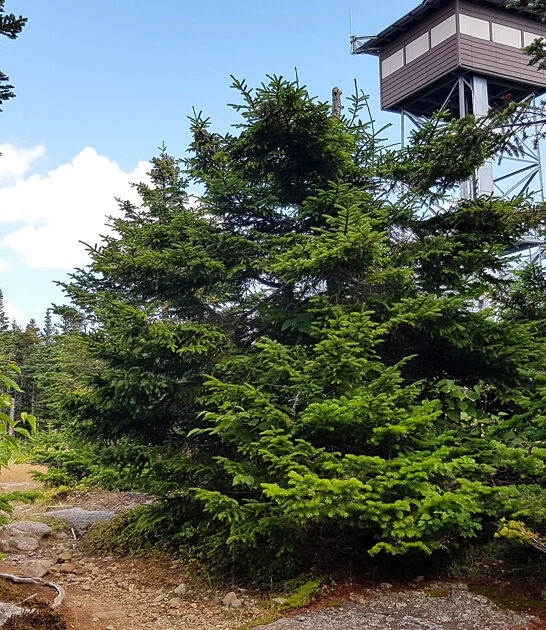 little known maine park ftr