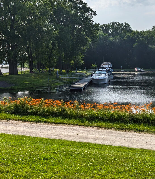 local stunning park vermont ftr