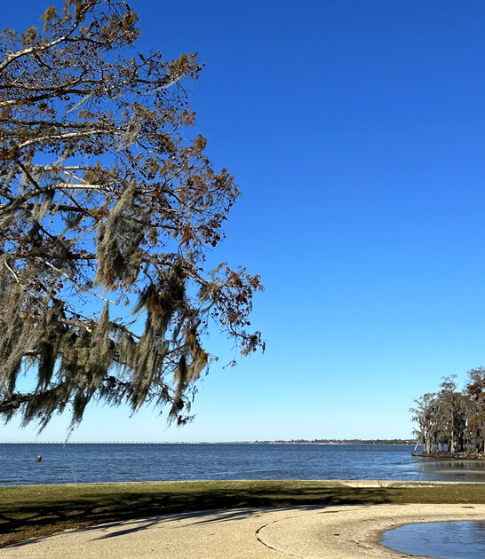 louisiana picturesque state parks ftr