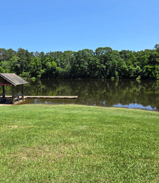 louisiana underrated state parks ftr