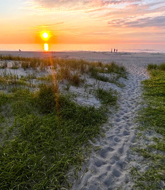 lovely state park delaware ftr