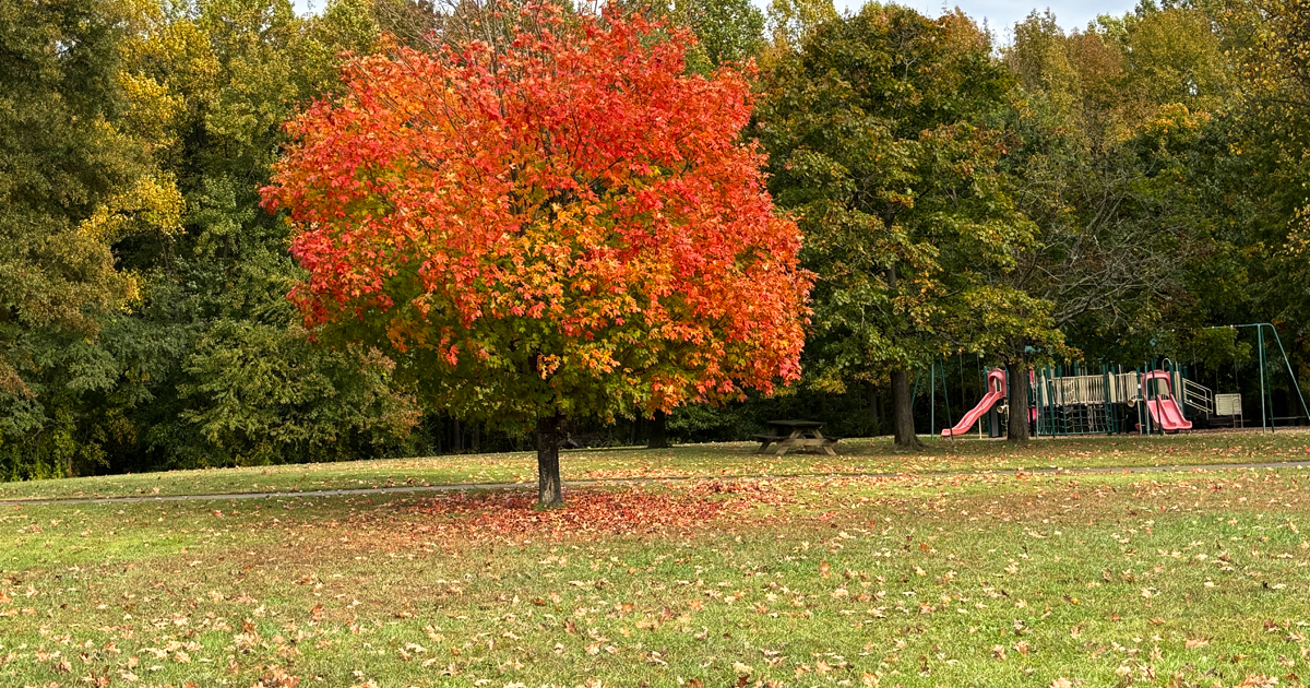 10 State Parks In Delaware So Stunning, You'll Think You're In A Dream