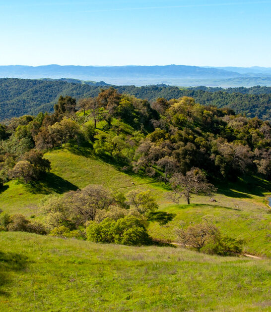 magnificent state park california ftr